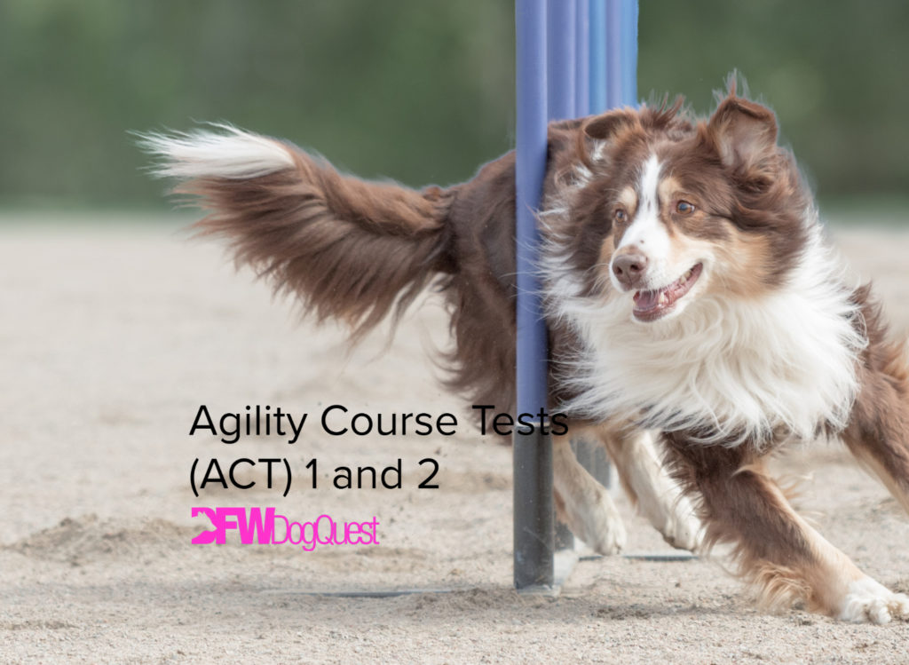 Agility Course Tests (ACT) 1 and 2
