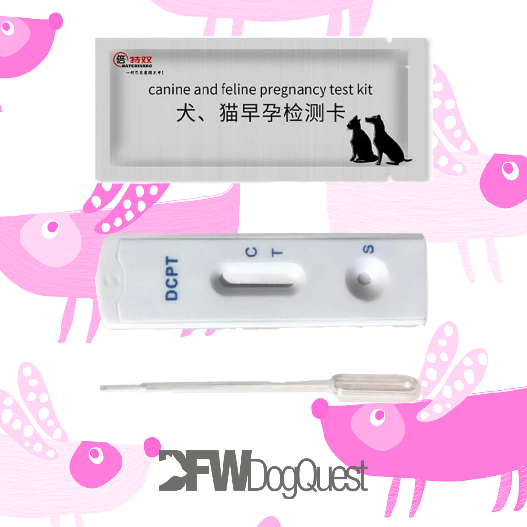8 Easy to Use Dog Pregnancy Test Kits